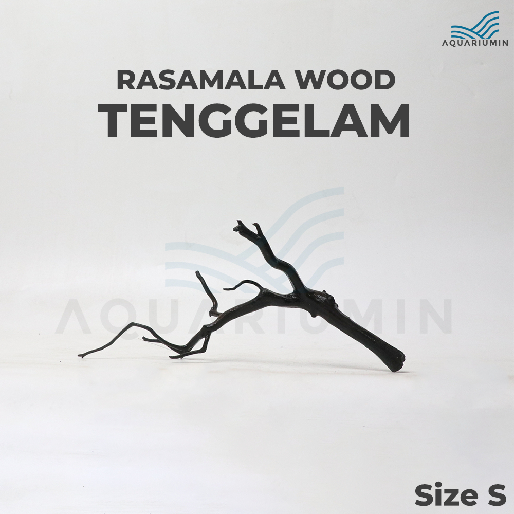 Jual Akar Kayu Rasamala Sudah Tenggelam Size S Aquascape Aquarium ...