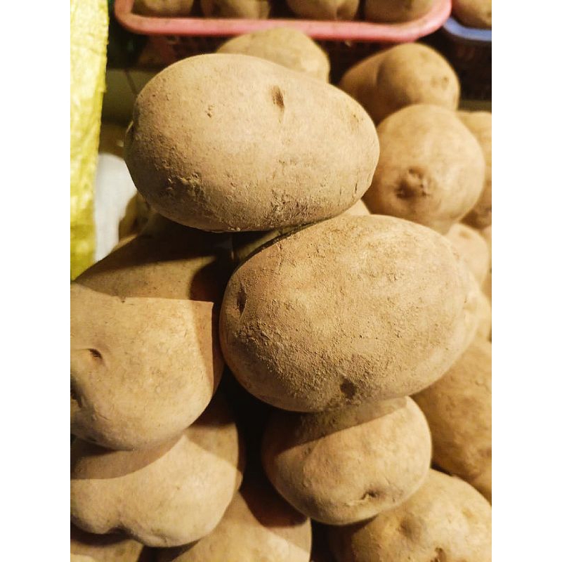 Jual Kentang dieyeng kuning AB kualitas fresh 1 kg | Shopee Indonesia