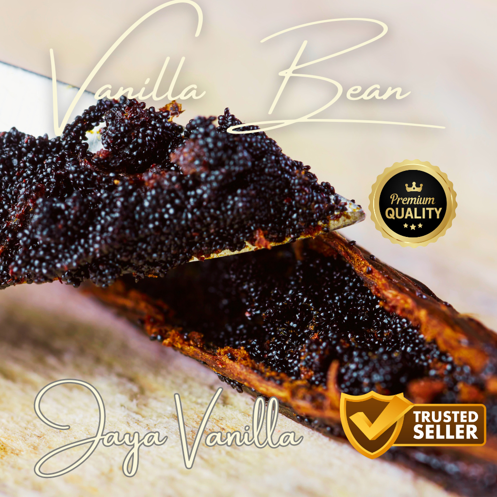 Jual Vanilla Beans Planifolia Grade A (Biji Vanili 100% Organik ...