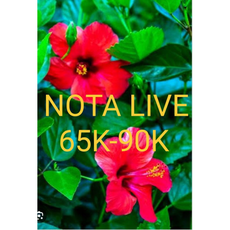 Jual Bunga untuk nota live 60k-90k | Shopee Indonesia