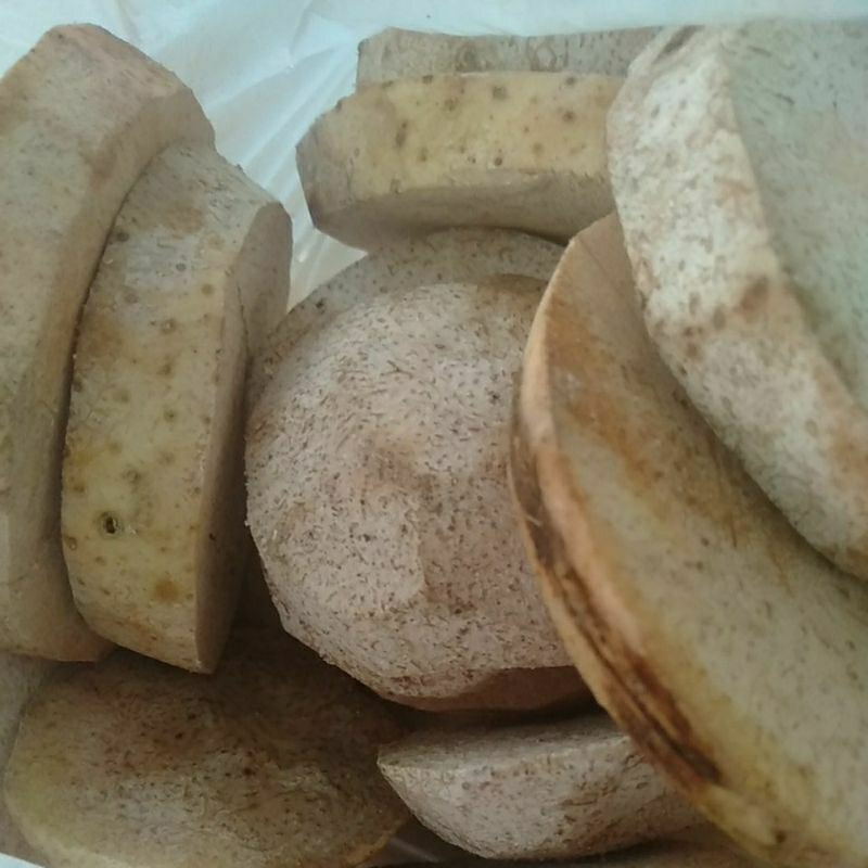 Jual Talas Bentul Bentoel segar kupas | Shopee Indonesia