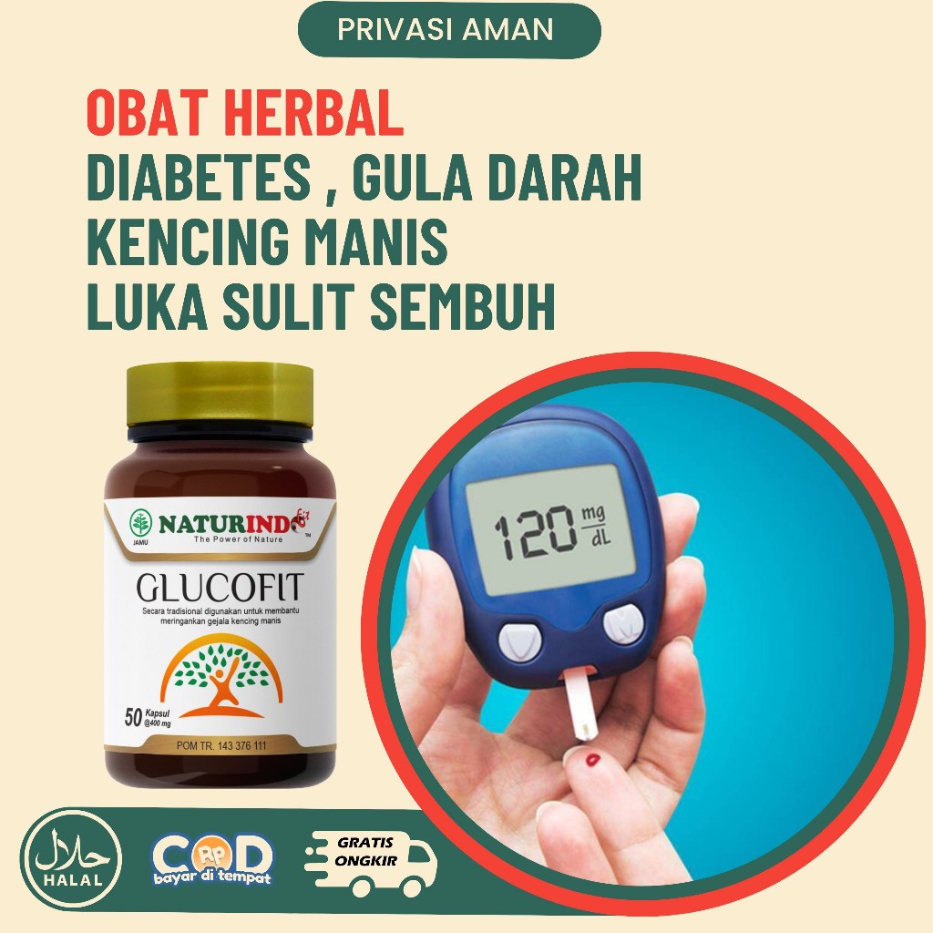 Jual Obat Diabetes Penurun Gula Darah Paling Ampuh Kencing Manis Obat ...