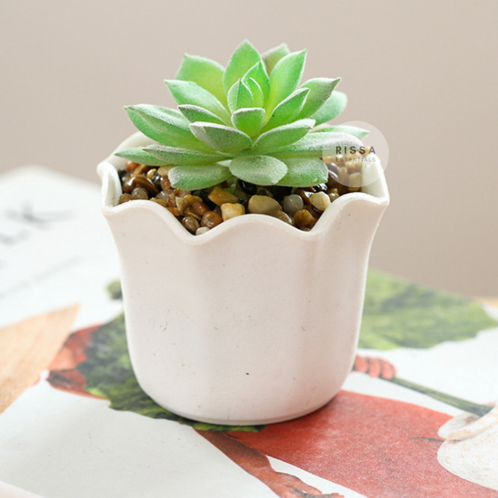 Jual [RISSA] Mini Kaktus Palsu Pot Bentuk Bell Cactus Kecil Tanaman ...