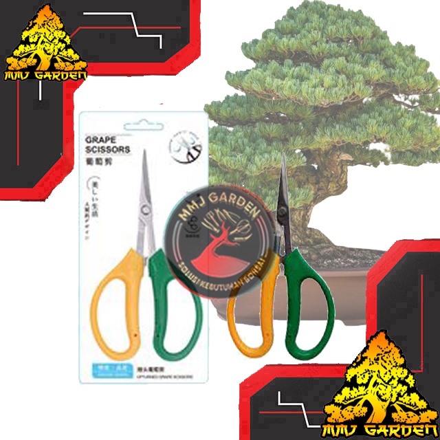 Jual MMJ GARDEN-ALAT BONSAI Gunting dahan ranting dan daun kuning hijau ...