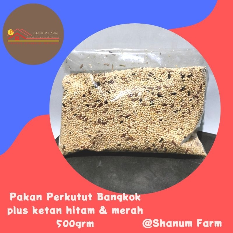 Jual pakan perkutut Bangkok ketan hitam & merah | Shopee Indonesia