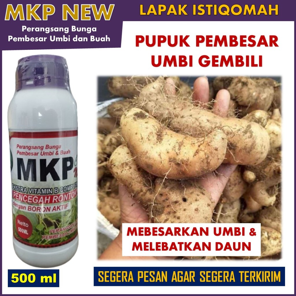 Jual MKP Cair NEW Pembesar UMBI Gembili dan Melebatkan Daun Tanaman ...