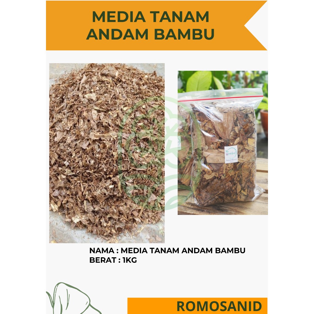 Jual Media Andam Bambu Premium - Media Tanaman Hias Daun Bambu Pohon ...