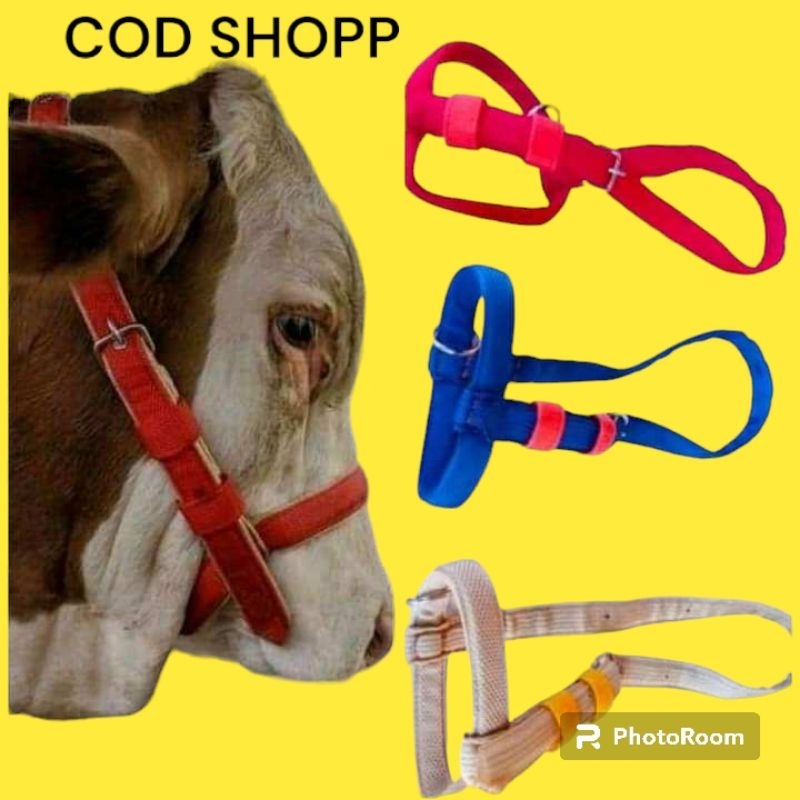 Jual satu set Halter Sapi ,Bogar , Bagor || Bacok Sapi || Brangus Sapi || Tali sapi Kalung Sapi ...