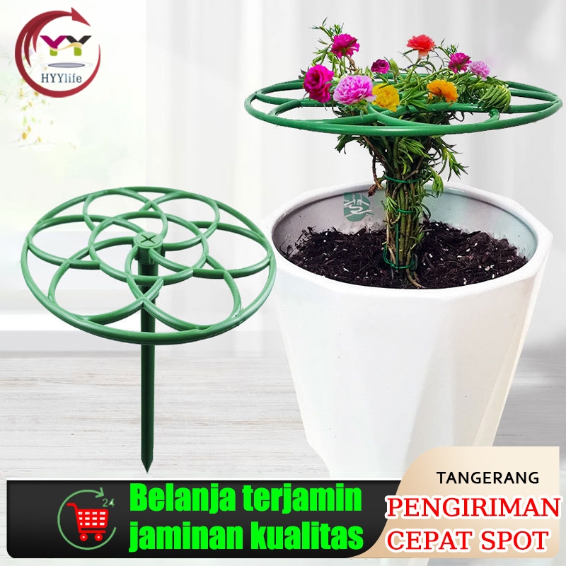 Jual Tiang Tanaman Kawat Tanaman Peyanggga Tanaman Rambat Tiang ...