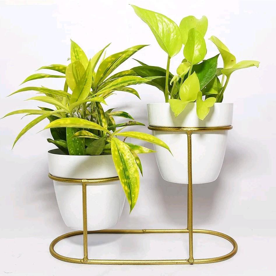 Jual standing pot sekulen, pot mini, dekorasi rumah dan taman | Shopee ...