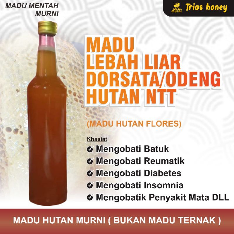 Jual Madu Hutan Murni 100%/Hutan NTT ujung kulon,Madu Hutan Asli Tanpa ...