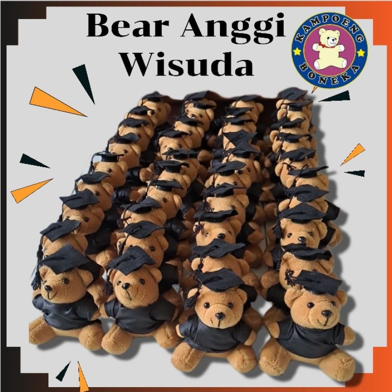 Jual Boneka Wisuda 10cm Anggi | Shopee Indonesia