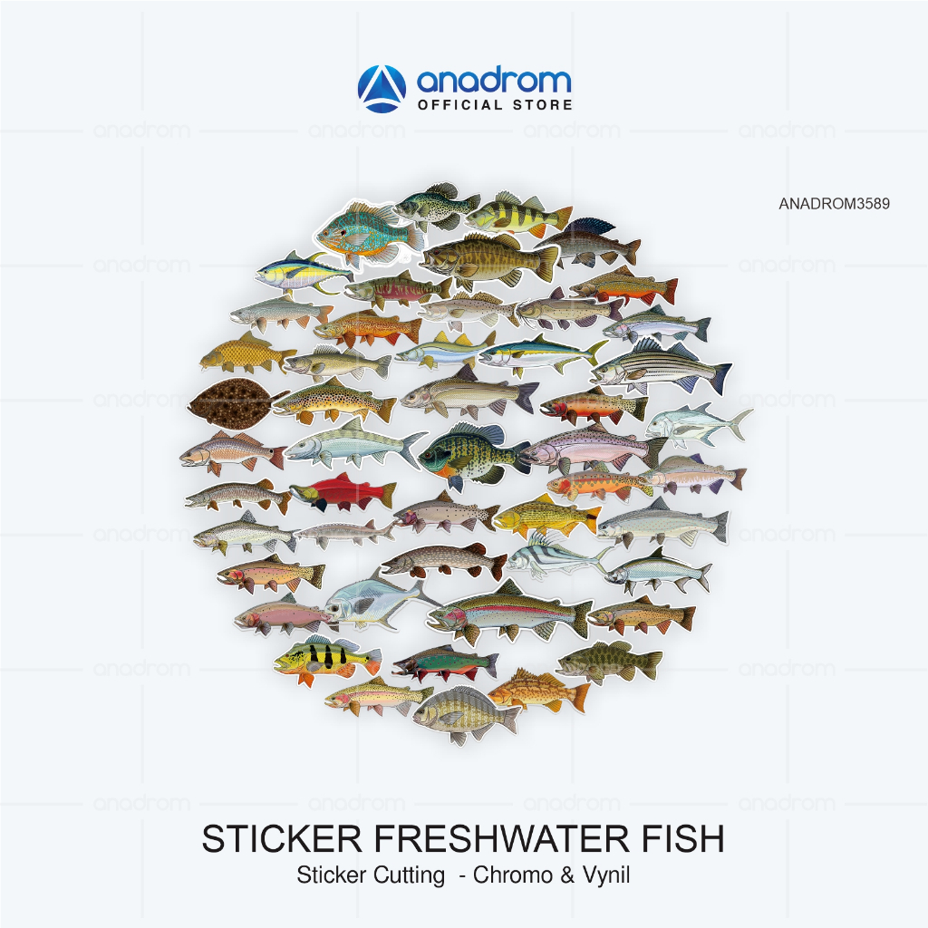 Jual Sticker Freshwater Fish | Sticker Fish Aesthetic | Anadrom 3589 ...