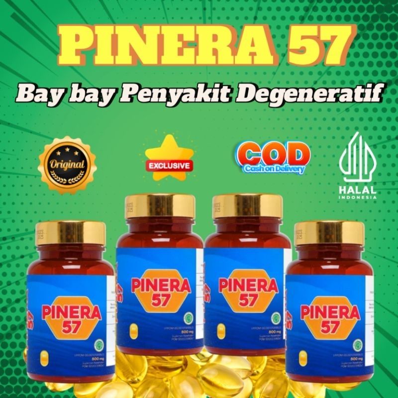 Jual 4 BOX PINERA 57 - PAKET KRONIS - BANTU ATASI STROKE BERAT & RINGAN ...