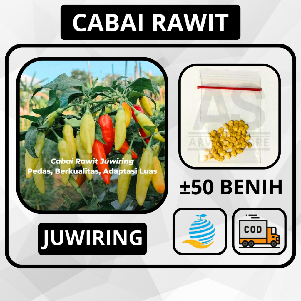 Jual +/- 50 Butir - Cabe Rawit JUWIRING Tunas Agro Bibit Cabai Sayuran ...
