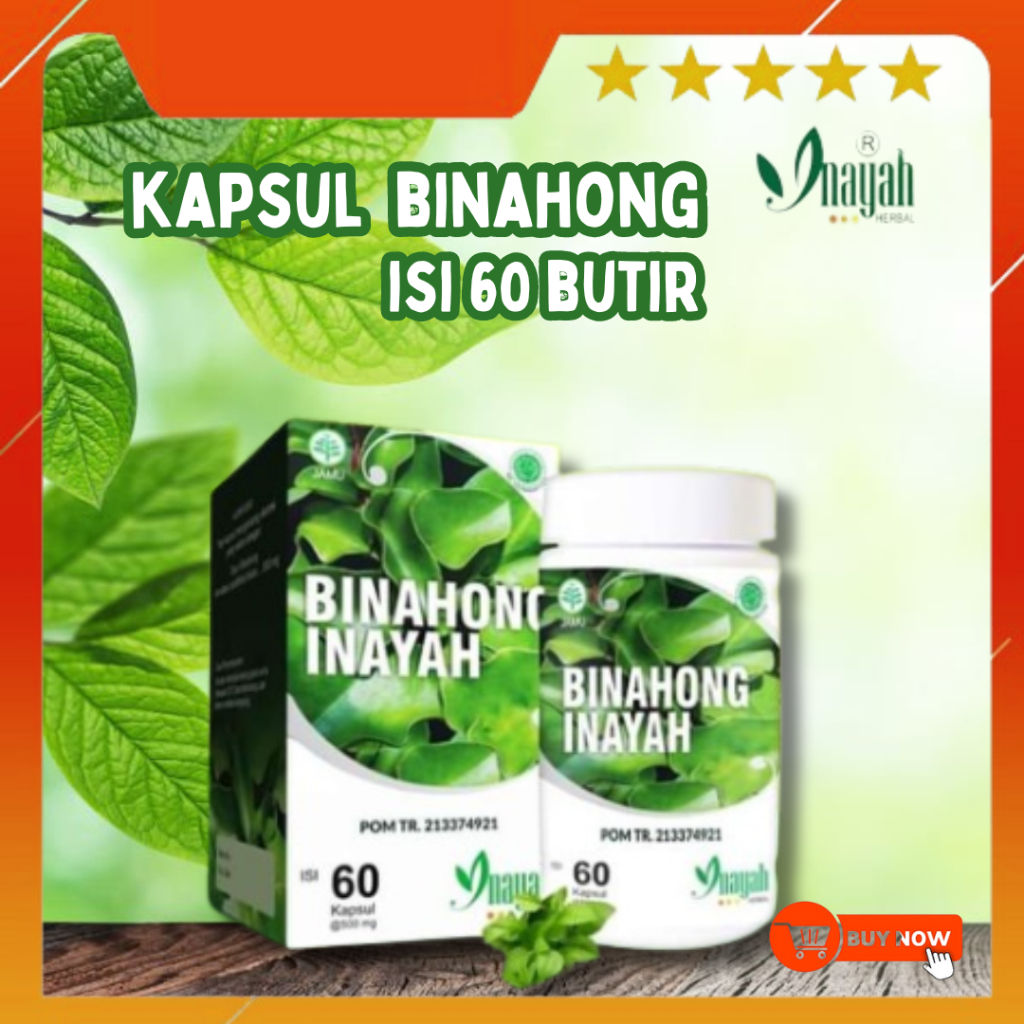 Jual Kapsul Daun Binahong Inayah Herbal Bpom Isi 60 Lpom Mui Shopee