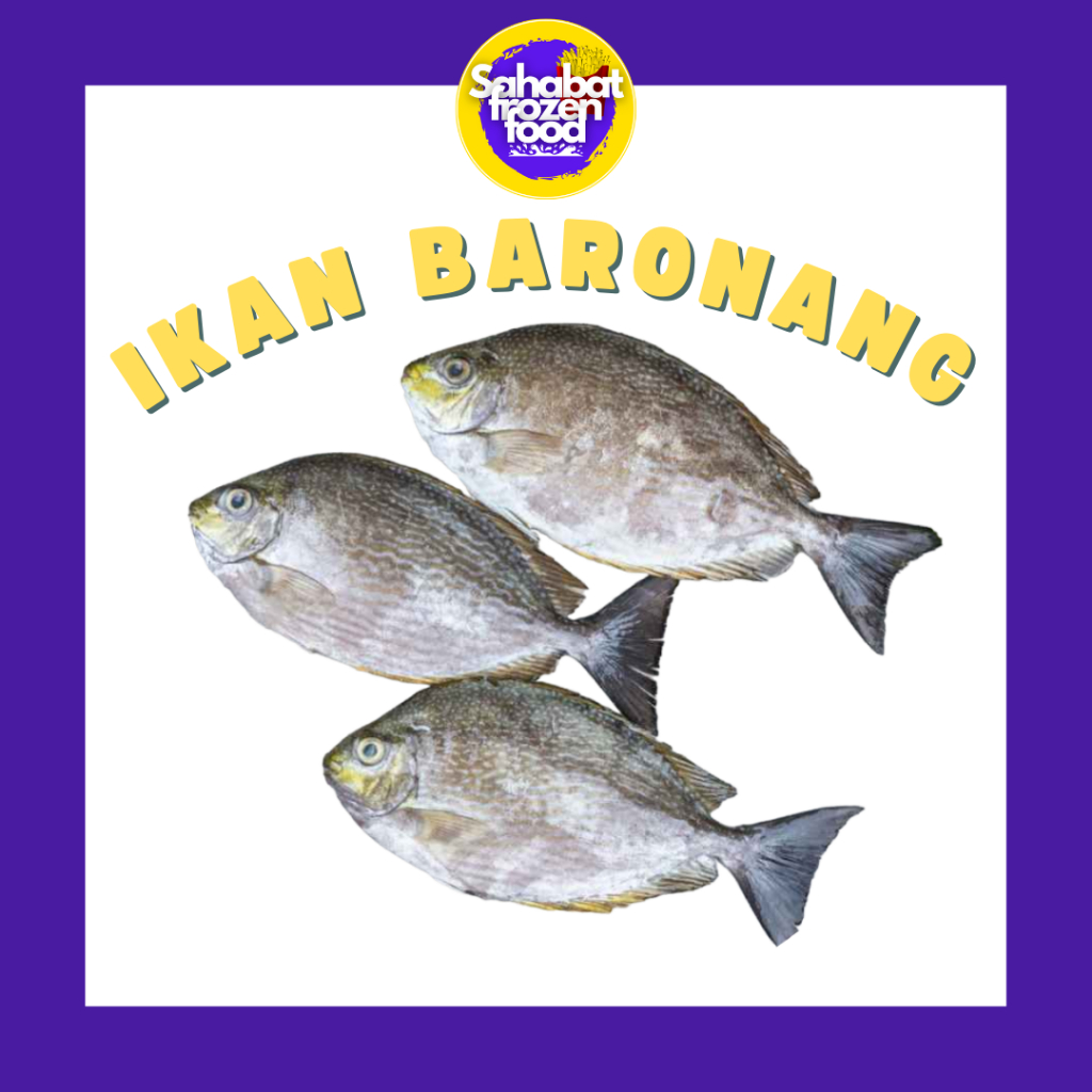 Jual Ikan Baronang Segar | Shopee Indonesia
