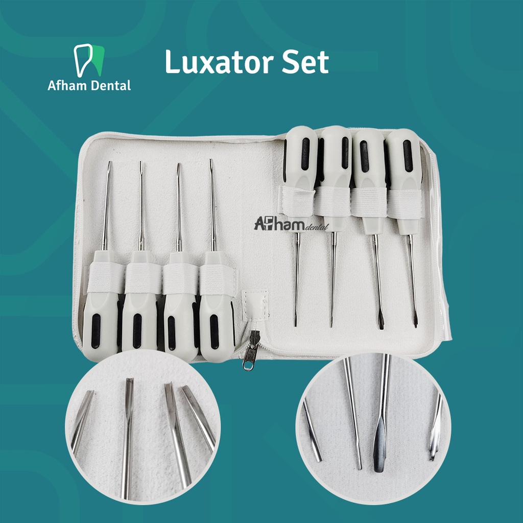 Jual DENTAL BEIN ROOT ELEVATOR LUXATOR SET 8pcs ALAT CABUT GIGI ANAK / DEWASA | Shopee Indonesia