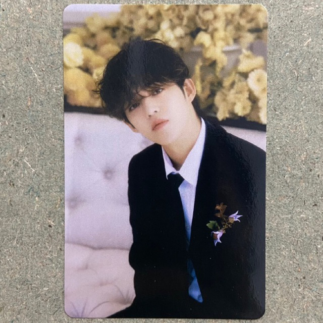 Jual OFFCIAL PC SCOUPS FML SEVENTEEN BOOKLET CARAT VERSION ALBUM PHOTOCARD | Shopee Indonesia