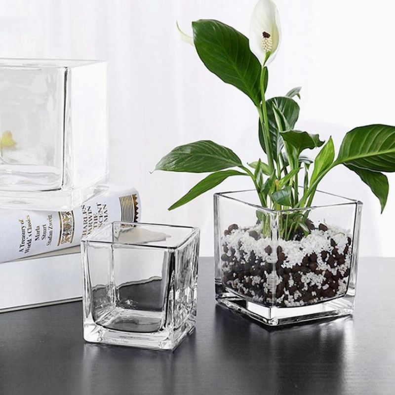 Jual Square Vase Glass / Vas Bunga Kaca Kotak / Pot Persegi Tanaman Air ...