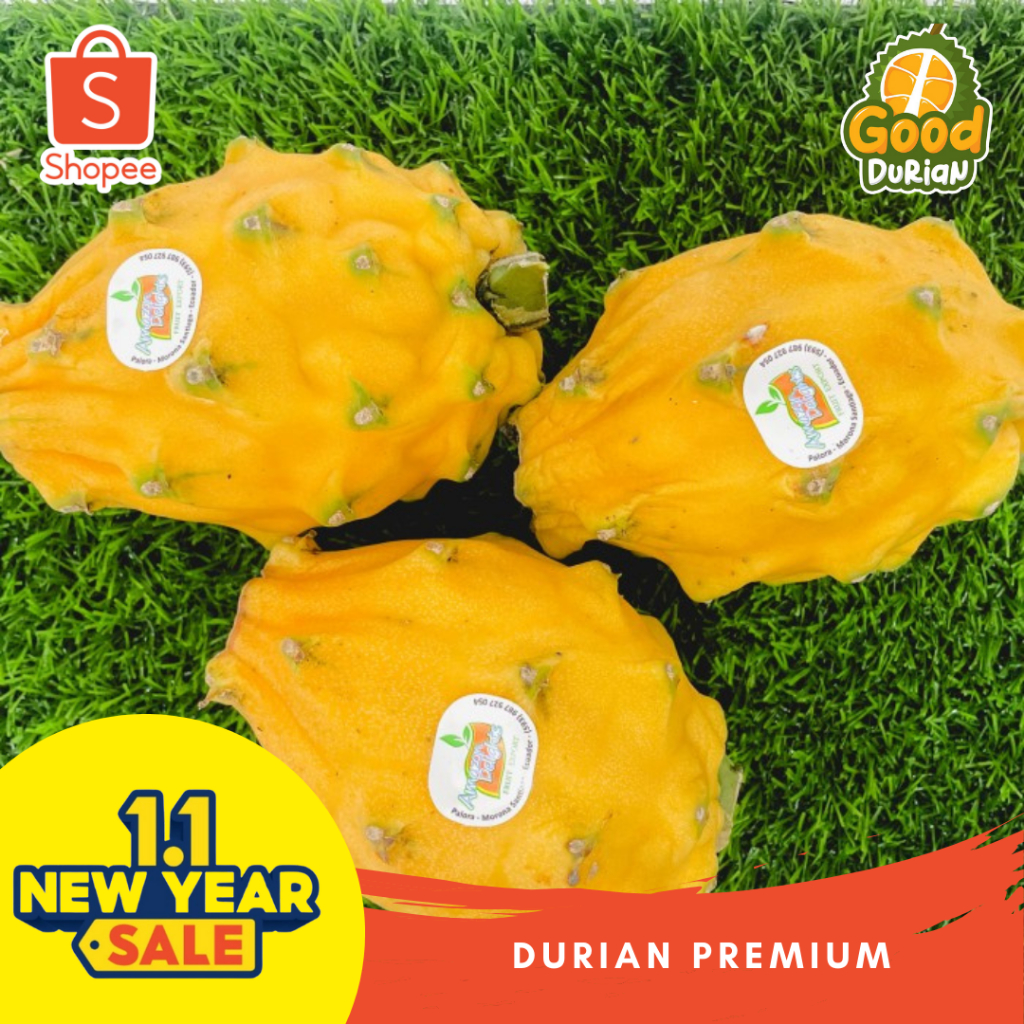 Jual Buah Naga Kuning Ecuador Manis - Good Durian | Shopee Indonesia