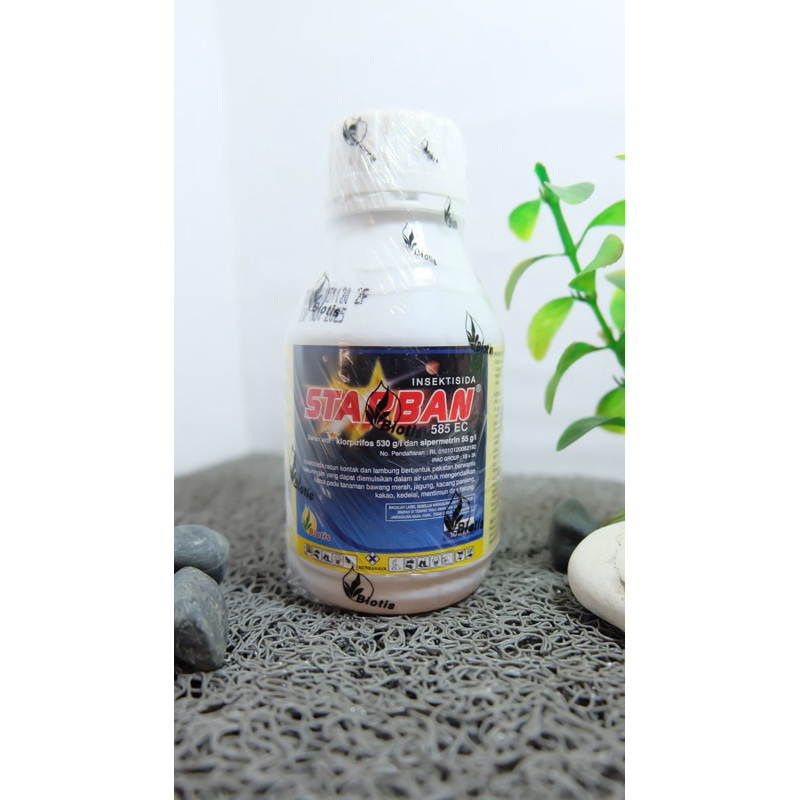 Jual STARBAN 100ml INSEKTISIDA ULAT ORONG2 KAPER | Shopee Indonesia