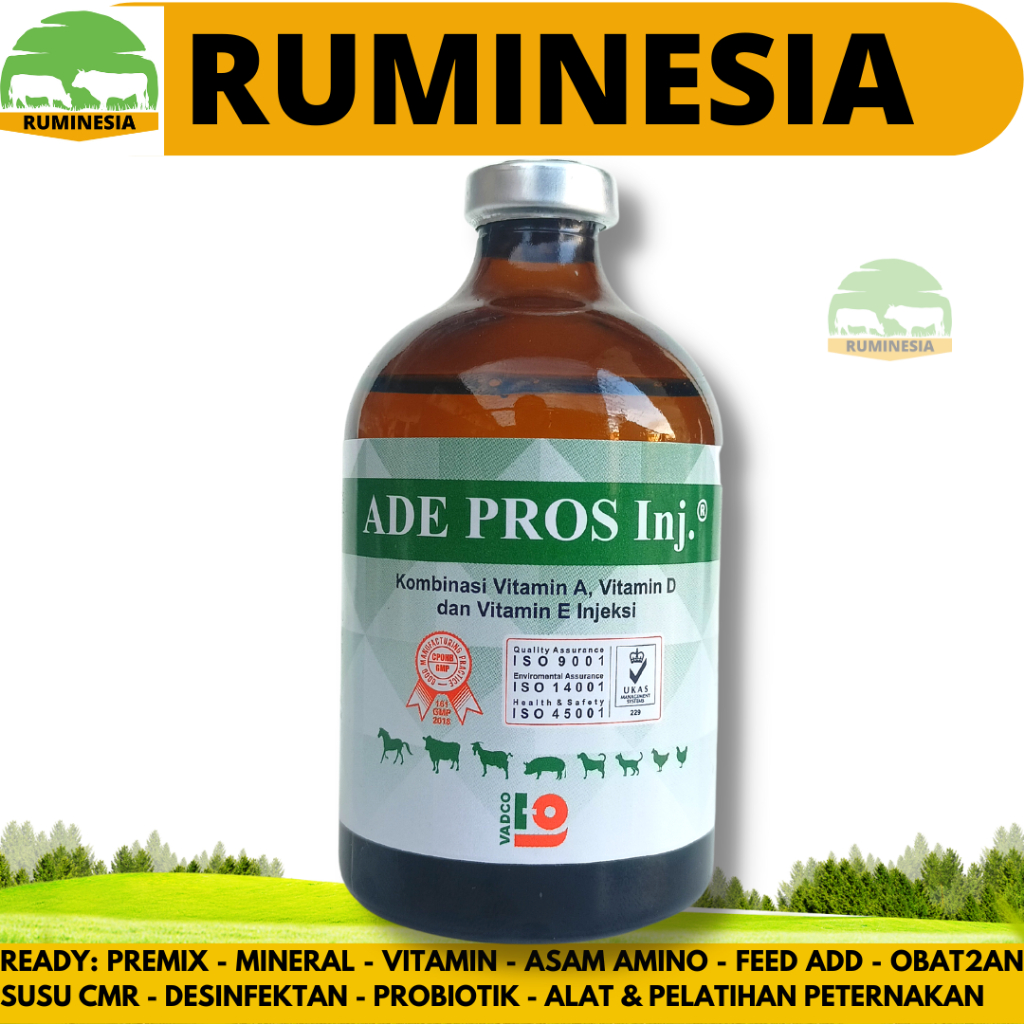 Jual ADE PROS INJ 100ML - Vitamin ADE Meningkatkan Daya Tahan Tubuh ...