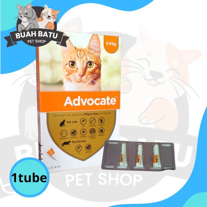 Jual obat kutu kucing advocate cat 0- 4 kg | Shopee Indonesia