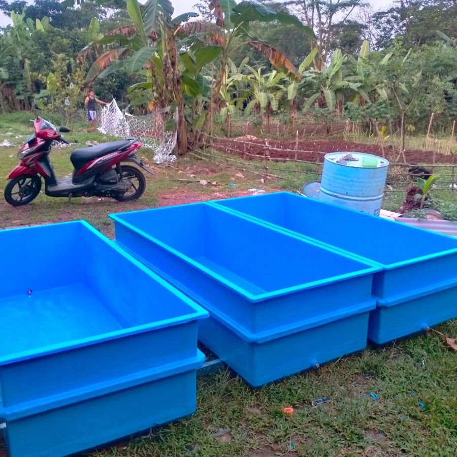 Jual Kolam Ikan Fiber gelass Dengan Ukuran 200x100x50 Cm /Bak Ikan ...