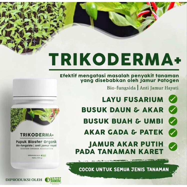 Jual ALFAGREEN 3 GRATIS 1-Bio-Fungisida Tricoderma Plus Pupuk Biosfer ...