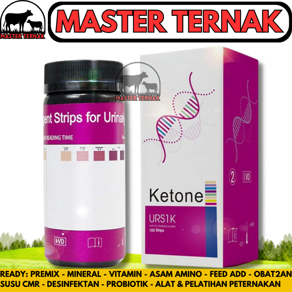 Jual KETONE TEST URINE ISI 100 STRIP - Alat Tes Keton Urin Keto Manusia ...