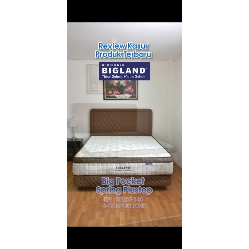 Jual Kasur Busa Spring Bed PlushTop Big Pocket 3 Zone BigLand ...