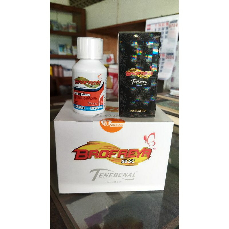 Jual brofreya 100 ml | Shopee Indonesia