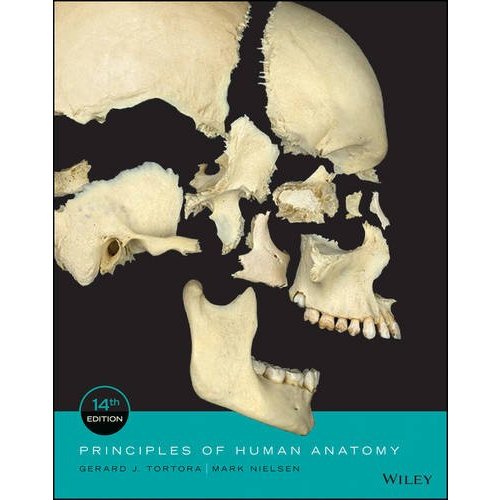 Jual PDF - Principles of Human Anatomy, 14th Edition | Shopee Indonesia
