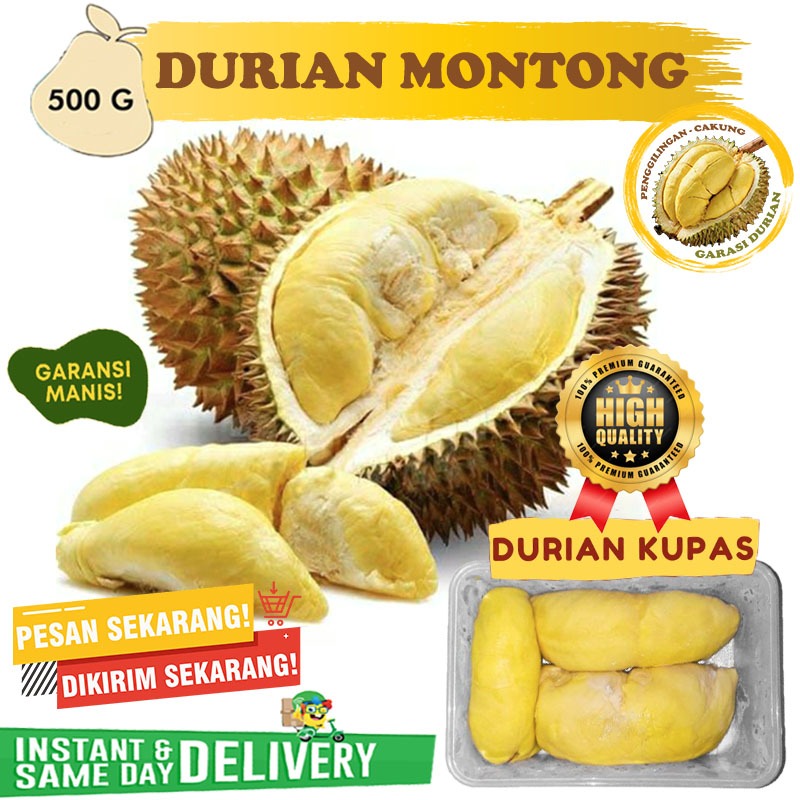 Jual Durian Kupas Montong Kane Lombok Premium Frozen Manis | GARASI DURIAN | Shopee Indonesia