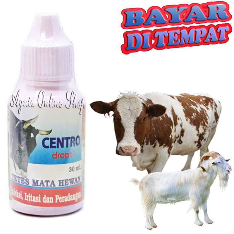 Jual Obat Tetes Mata Sapi Kambing CENTRO Sakit Infeksi Bengkak Iritasi ...