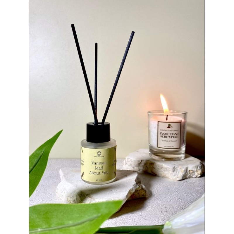 Jual Mini Reed Diffuser 20ml Pengharum ruangan kamar hadiah teman ...