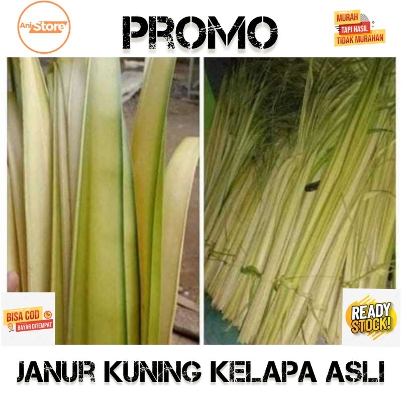 Jual Janur kelapa atau daun kelapa muda buat hiasan dan bikin ketupat ...