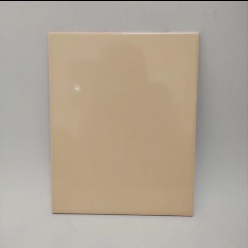 Jual Keramik Lantai Tile Ceramic Pegasus Glossy 20 x 25 20x25 cm ...