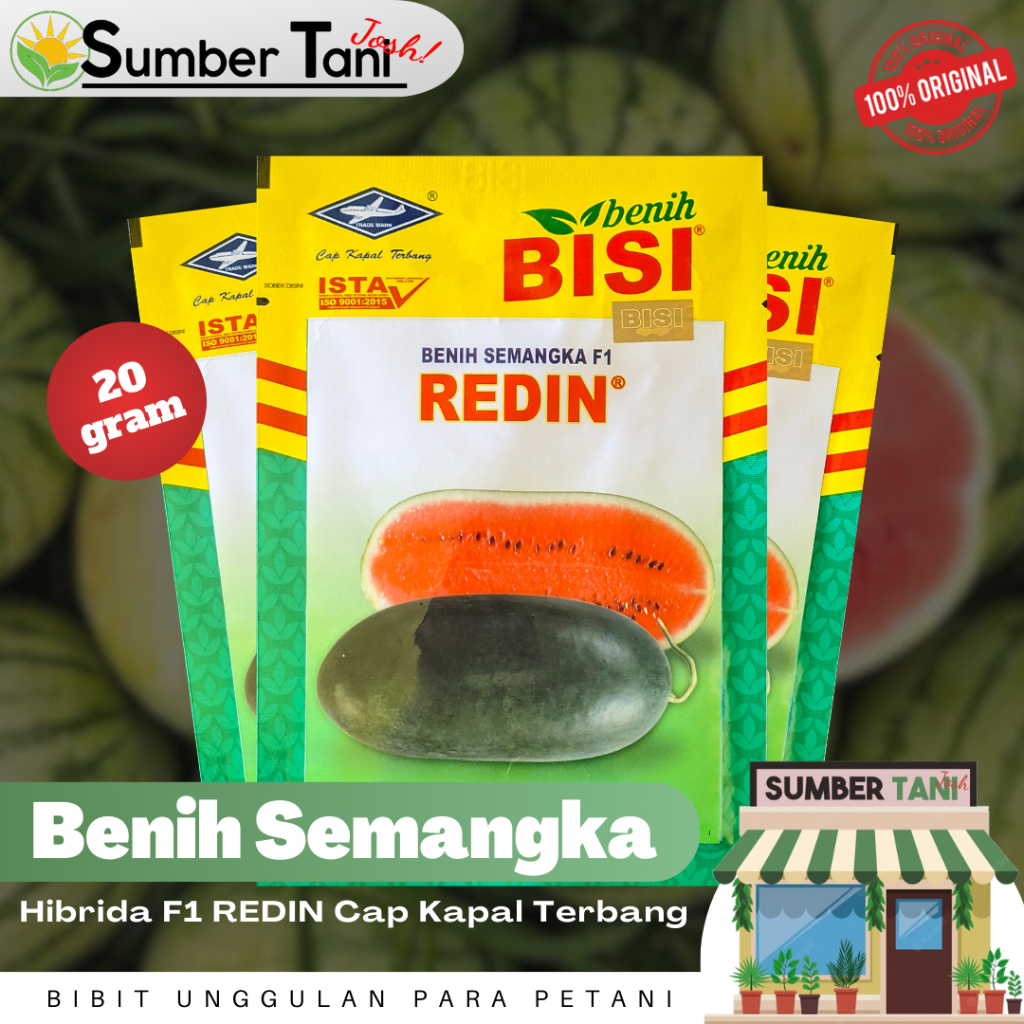 Jual Benih Semangka Hibrida F1 REDIN Cap Kapal Terbang 20gram | Shopee ...