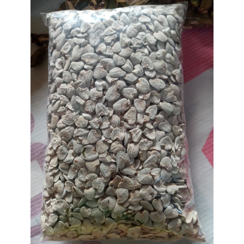 Jual Herbal biji jeruju kering 500g | Shopee Indonesia