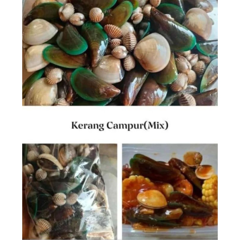 Jual KERANG SEGAR MIX - 1 KG | Shopee Indonesia