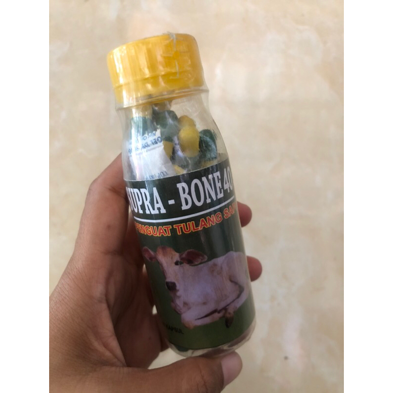 Jual SUPRA BONE kapsul Penguat Tulang Sapi Yang Lumpuh pincang tedun ...