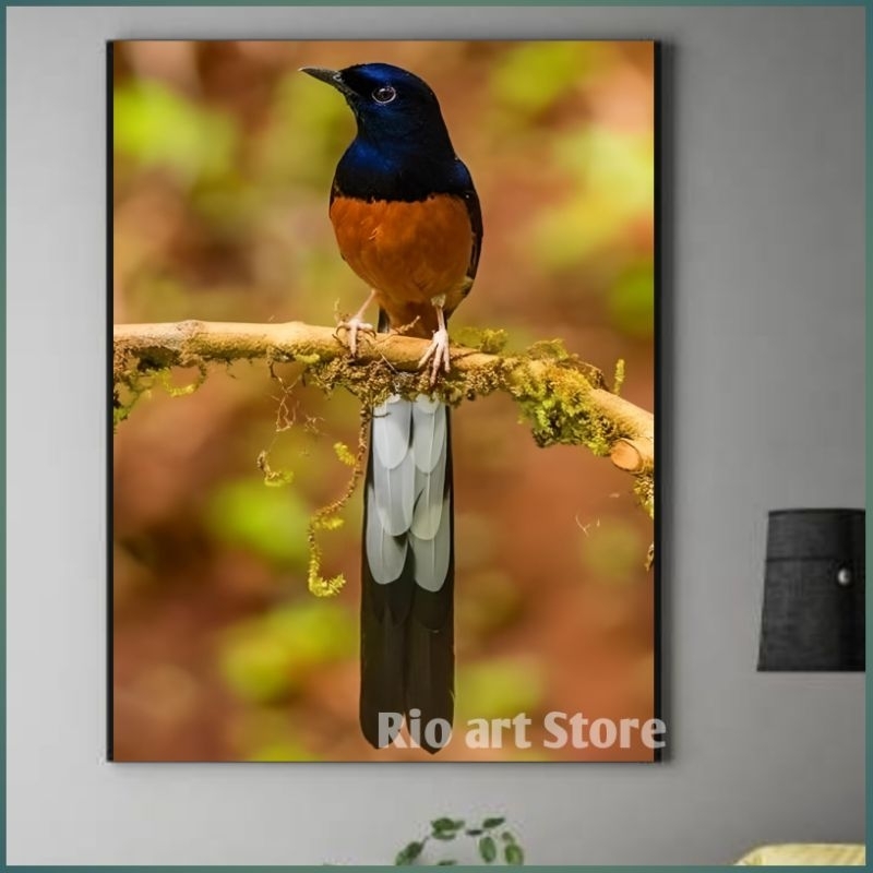 Jual Hiasan dinding poster burung mur4i untuk walldekor atau dekorasi ...