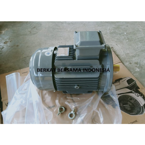 Jual Electric motor TECO 4P 15Hp 11Kw 3Phase B5 Flange Original | Shopee Indonesia