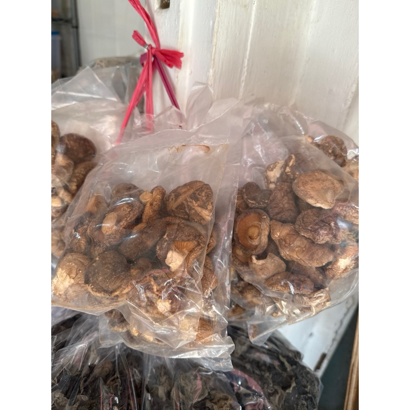 Jual Jamur Hioko Kecil 50gr | Shopee Indonesia