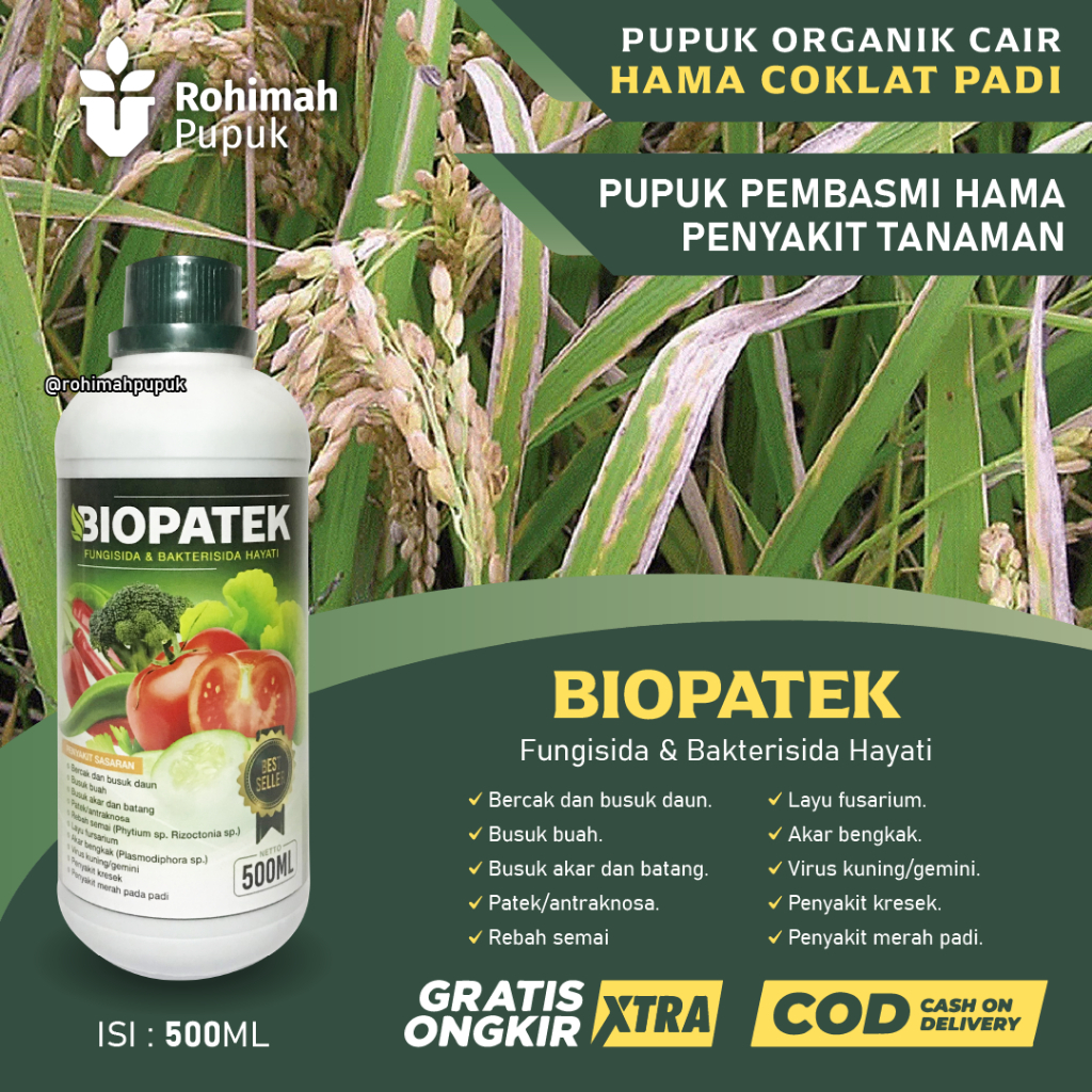 Jual BIOPATEK OBAT PADI KERDIL / COKLAT DAUN KUNING TERBAIK - Pupuk Pembasmi Hama PADI COKLAT ...