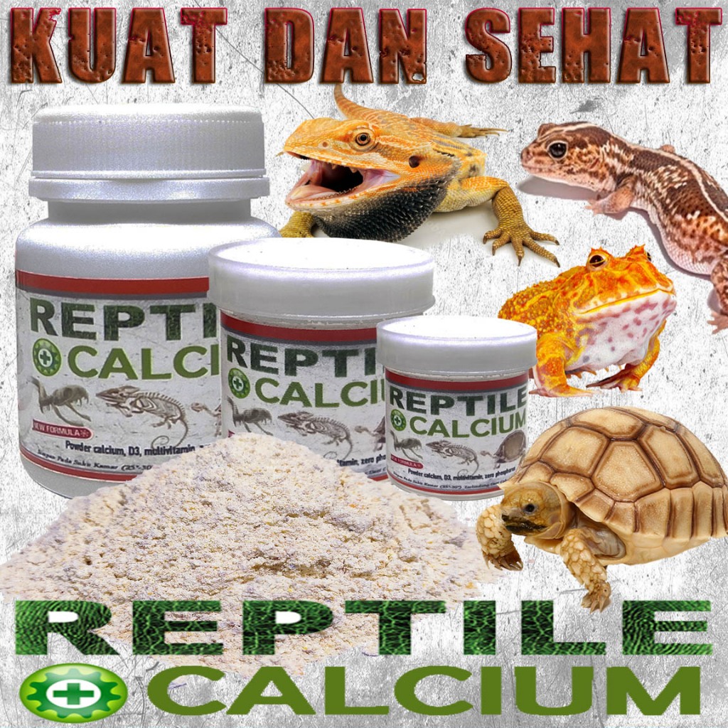 Jual Calcium multivitamin reptile memperkuat tulang mencegah mengobati ...
