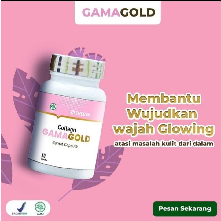 Jual Kapsul Gamat Gold Premium - Kapsul Gamat Emas - Kapsul GamaGold ...