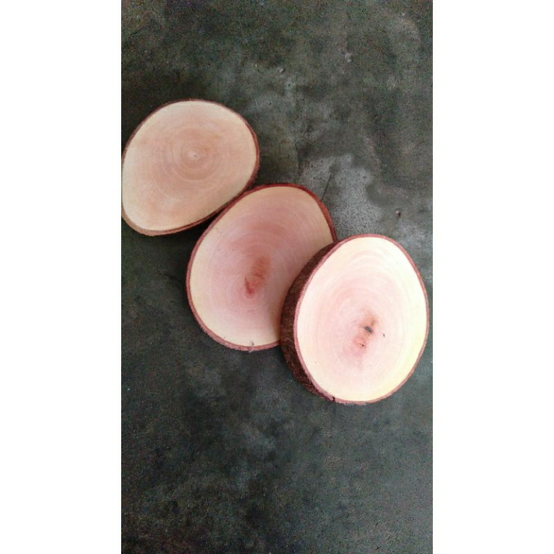 Jual Wood Slice - Coaster Kayu Natural Ukuran 9-10 cm - Props Photo ...